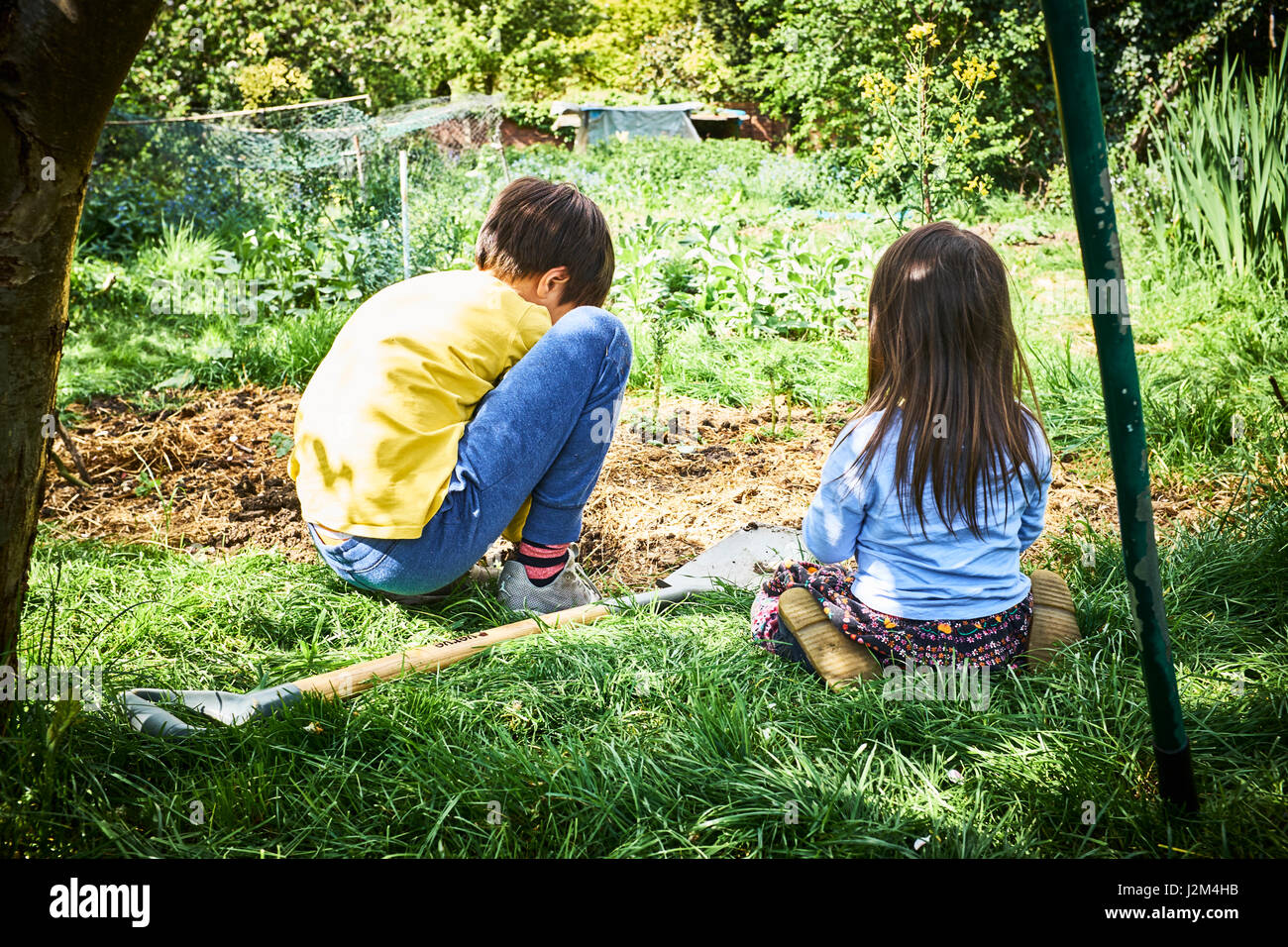 Brother and sister working at a British allotment Stock Photo - Alamy