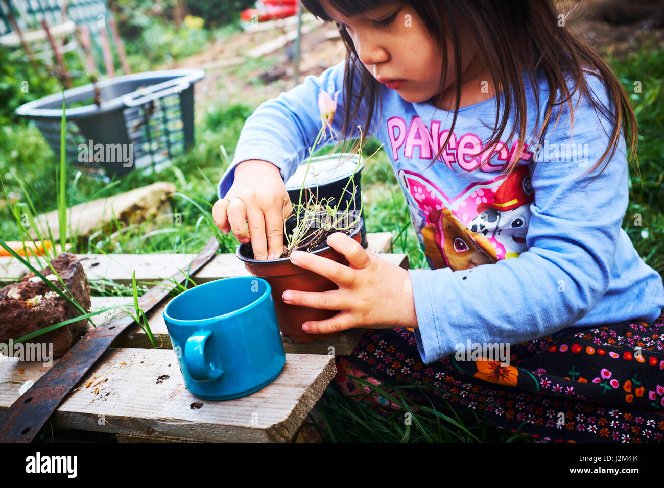 Mixed race Chinese British girl at the allotement Stock Photo - Alamy