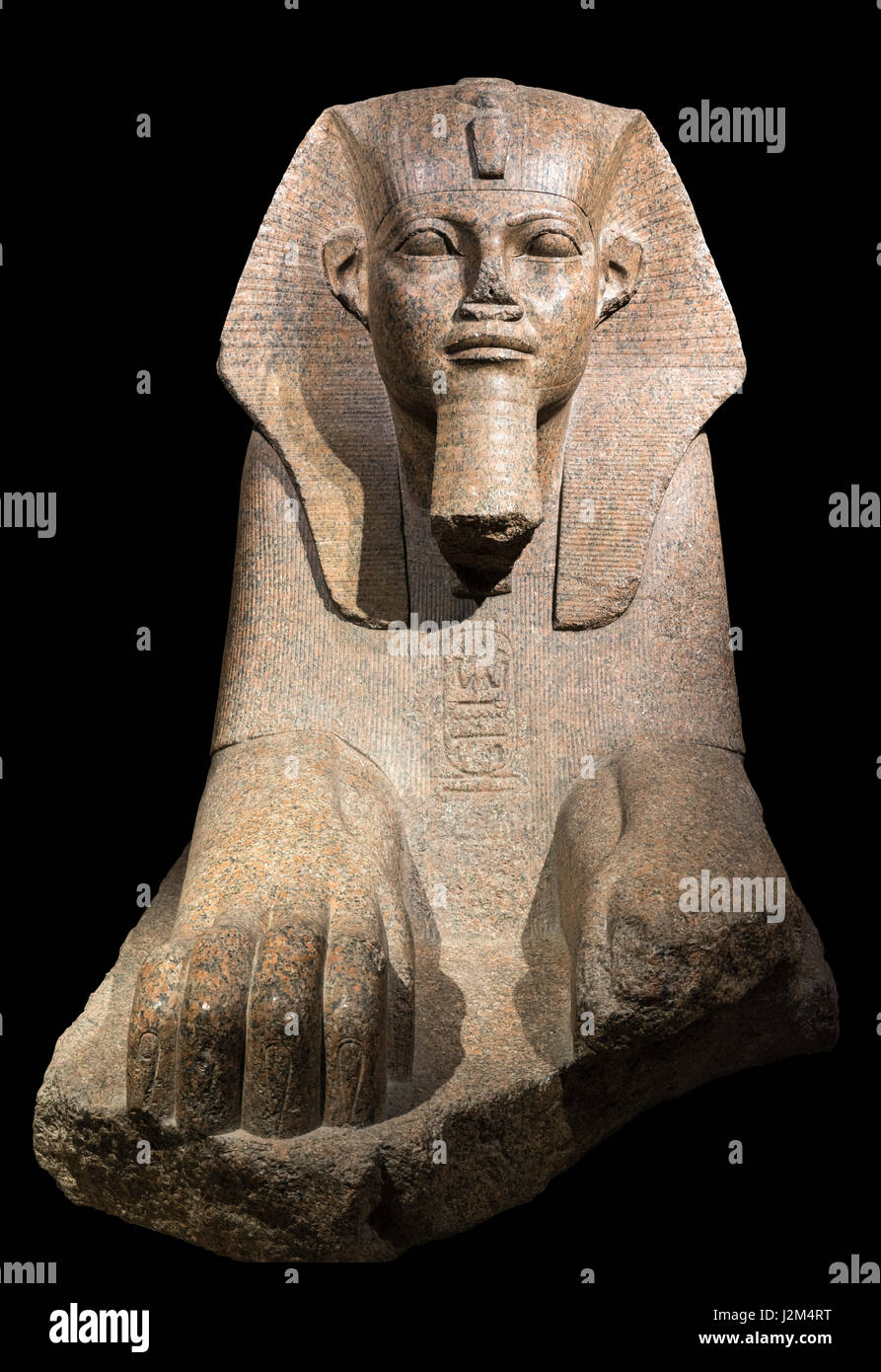 Sphinx Head Alpha