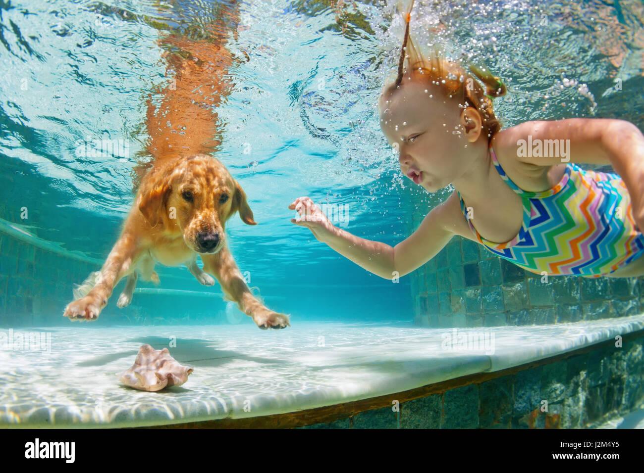 Friends swimming underwater together hi-res stock photography and ...