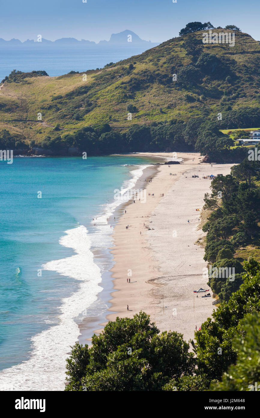 New Zealand, North Island, Coromandel Peninsula, Hahei, Hahei Beach, elevated view Stock Photo ...