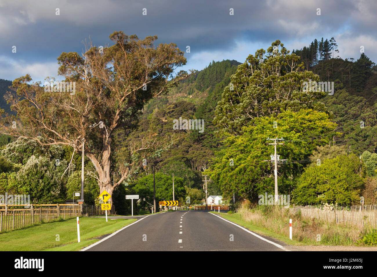 New Zealand, North Island, Coromandel Peninsula, Coromandel Town ...