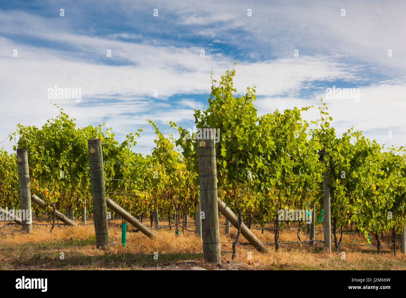 Te awanga, new zealand hi-res stock photography and images - Alamy