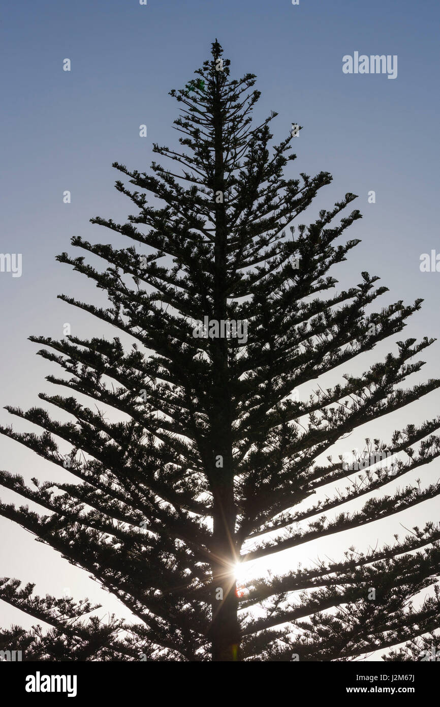 New Zealand, North Island, Mt. Manganui, The Mount Main Beach ...