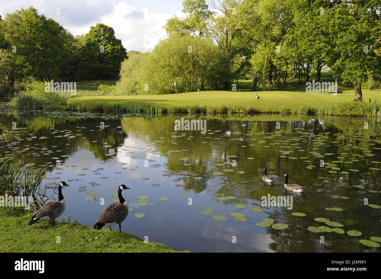 Broxbourne hertfordshire hi-res stock photography and images - Alamy