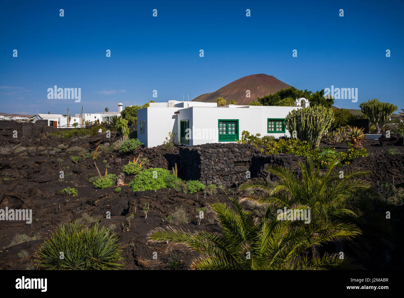 Spain, Canary Islands, Lanzarote, Tahiche, black volcanic earth, garden ...