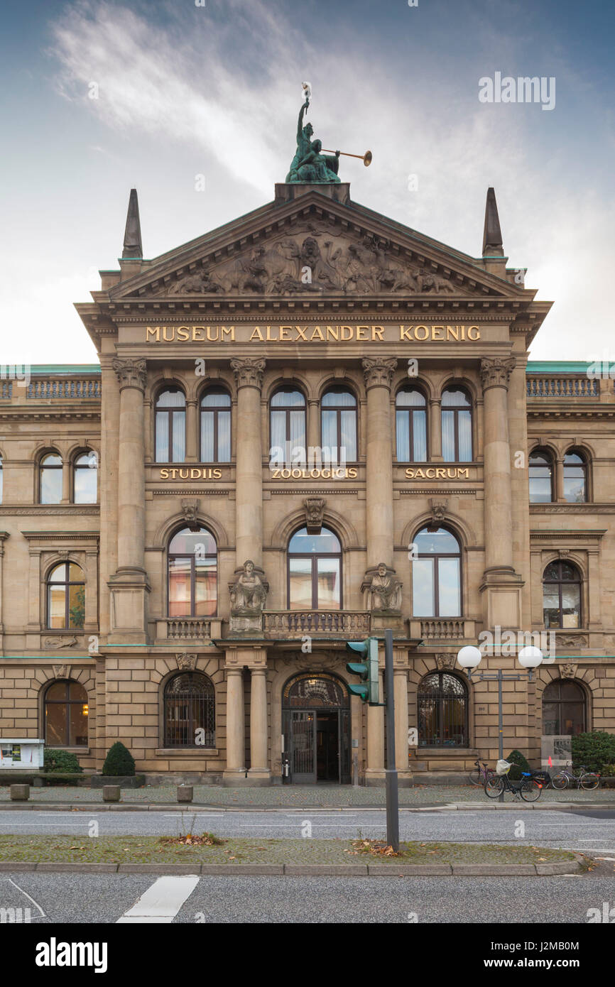 Alexander koenig hi-res stock photography and images - Alamy