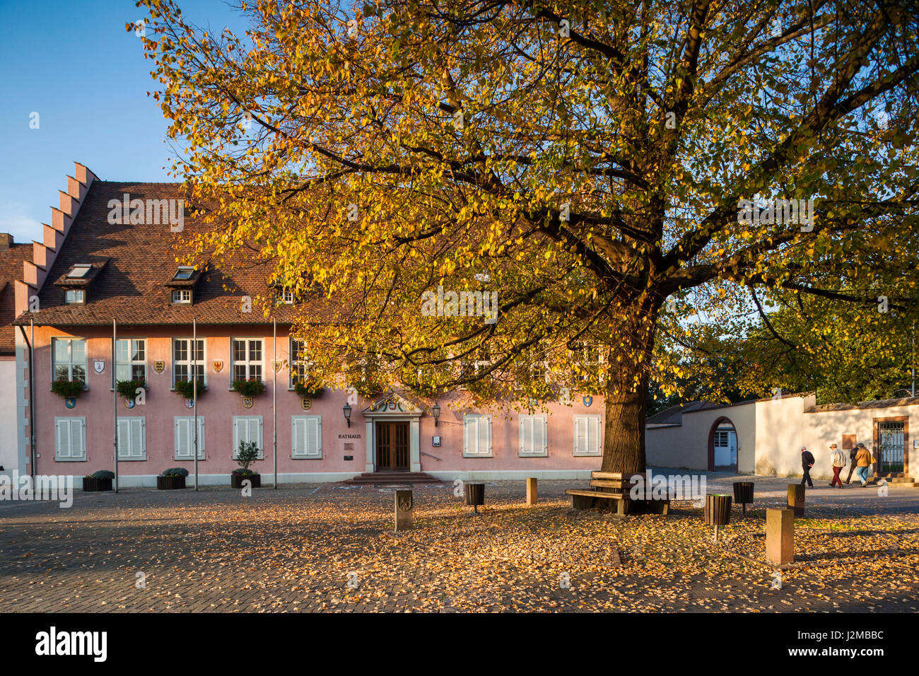 Germany, Baden-Wurttemburg, Black Forest, Breisach, buildings atop the ... Germany, Baden-Wurttemburg, Black Forest, Breisach, buildings atop the ...