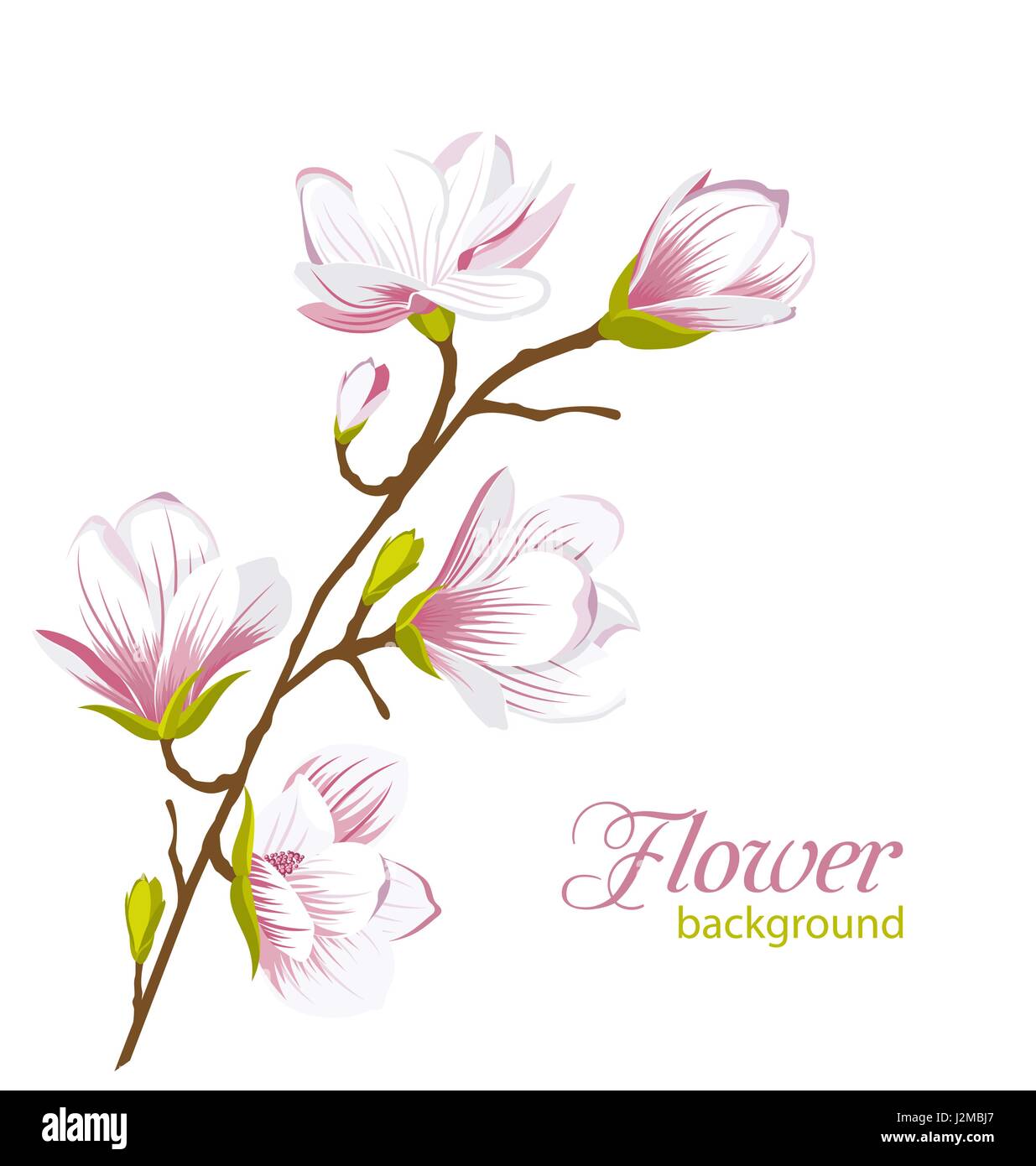 Fresh beautiful purple blooming Stock Vector Images - Alamy