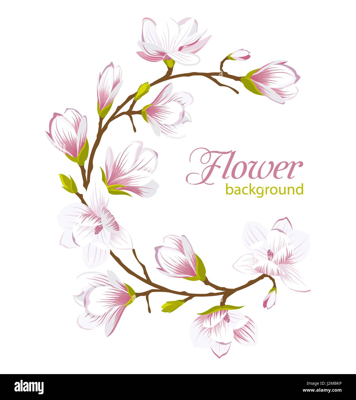 Magnolia tree wallpaper Cut Out Stock Images & Pictures - Alamy