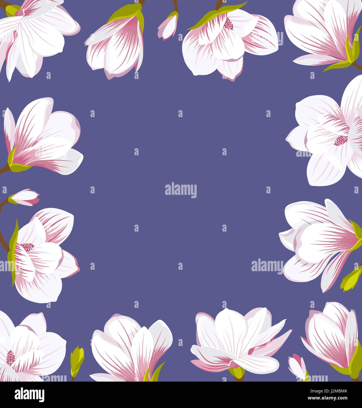 Vintage Border Made of Beautiful Magnolia Flowers Stock Vector Image ...