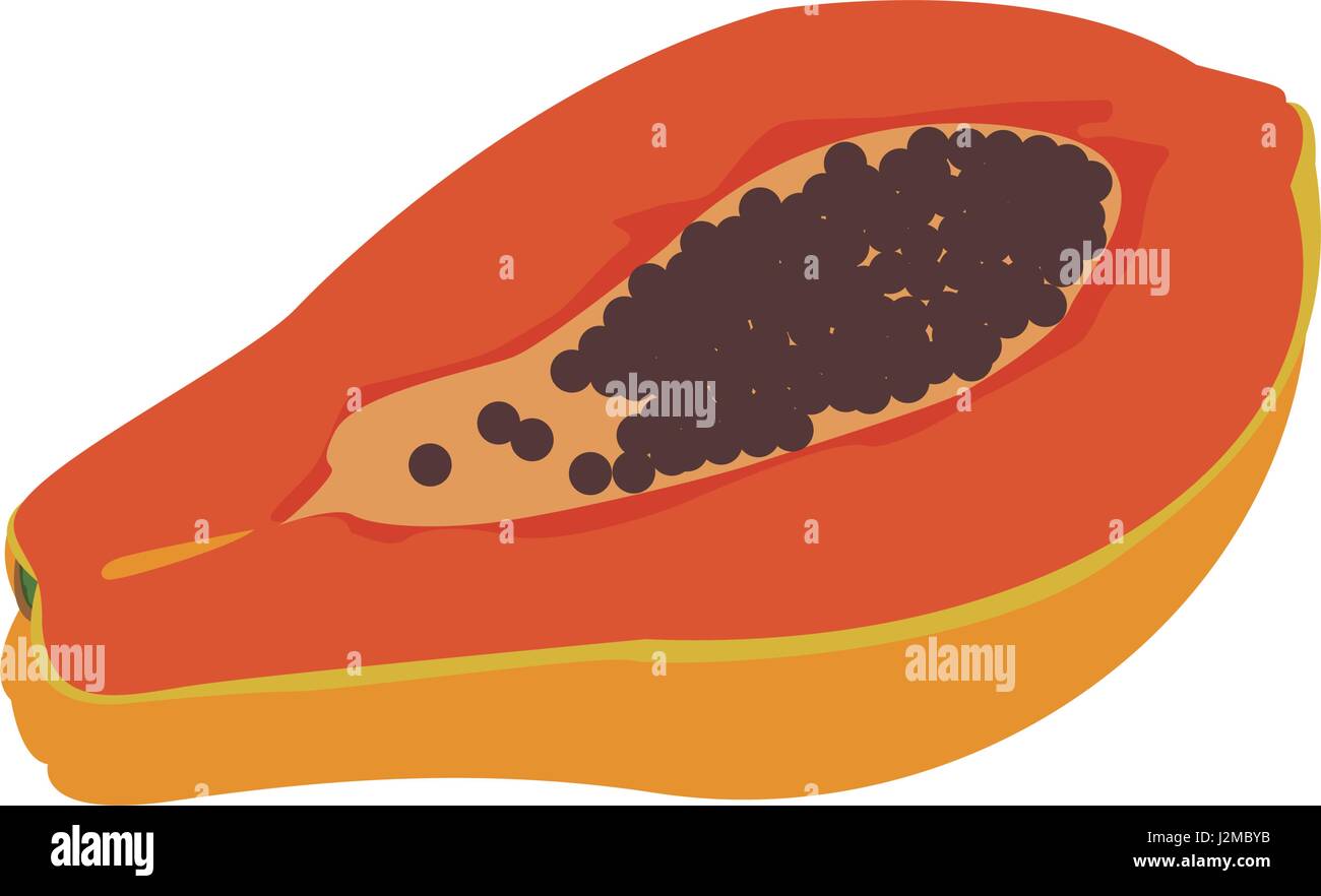 Papaya sliced Stock Vector Images - Alamy