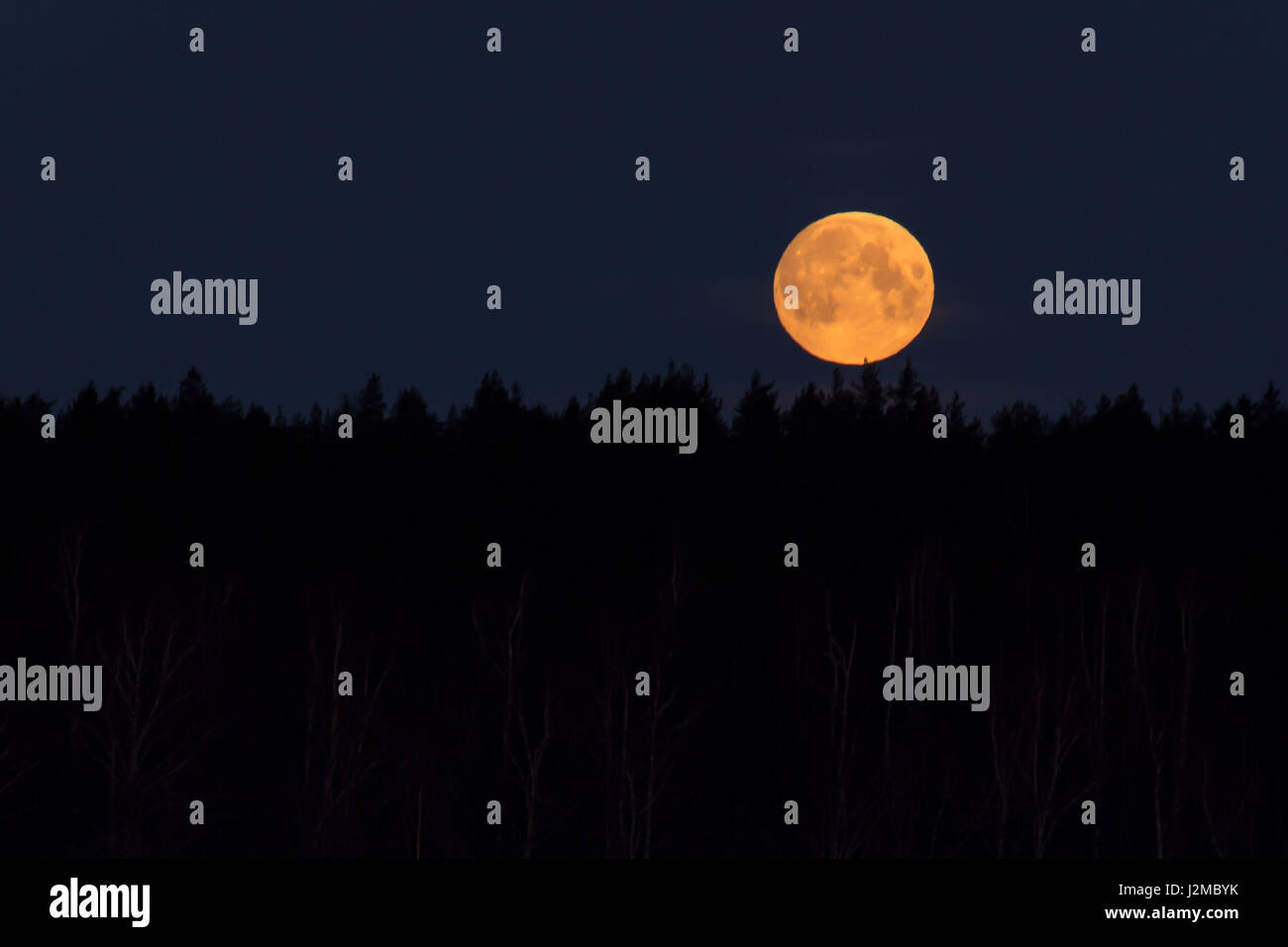 Full moon shines in morning sky Stock Photo - Alamy