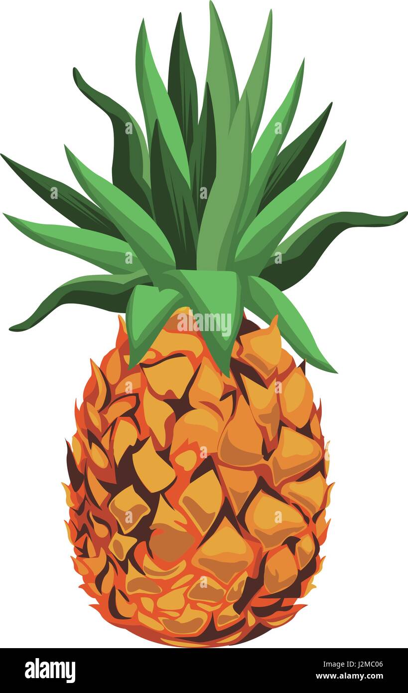 pineapple fruit tropical food image Stock Vector Image & Art - Alamy