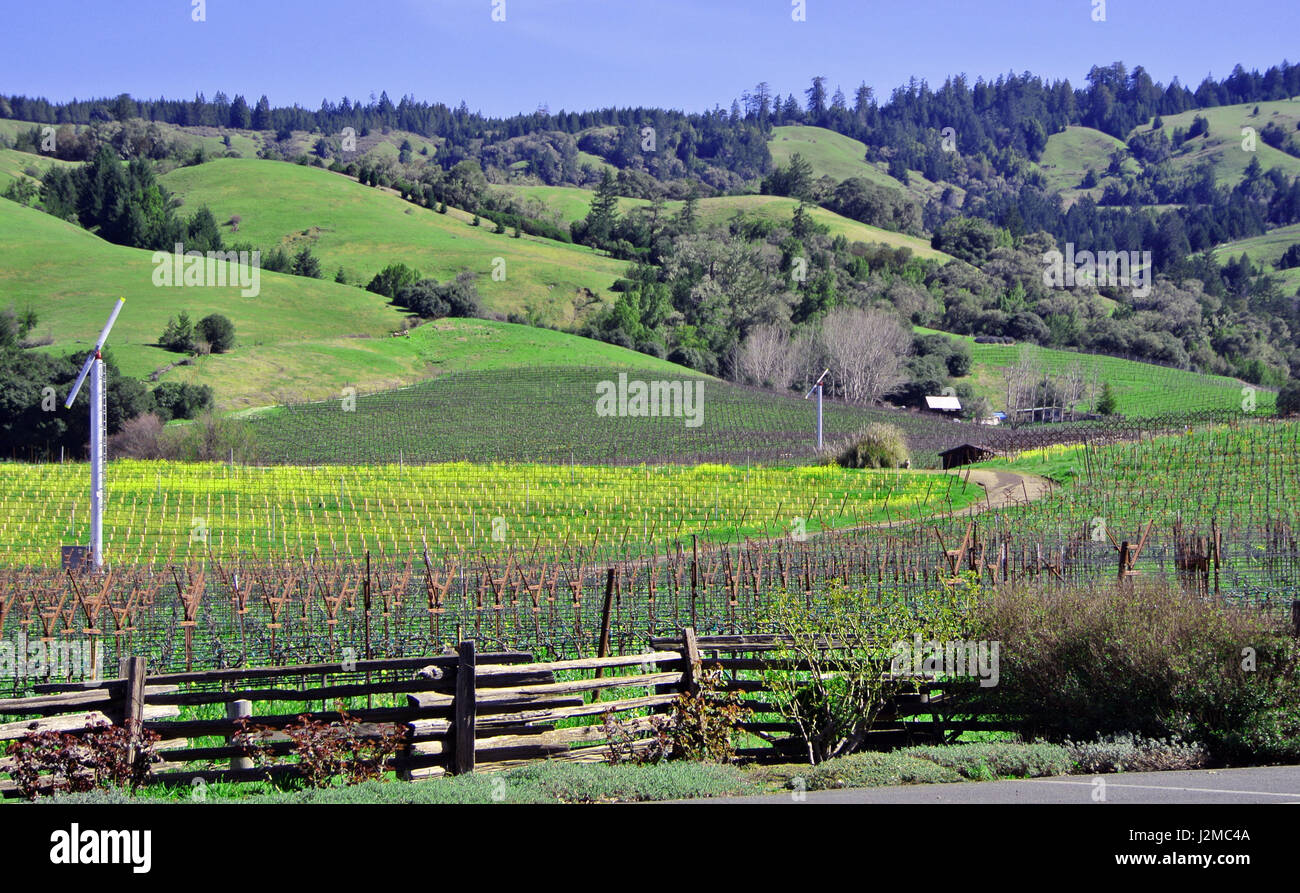 Anderson valley hi-res stock photography and images - Alamy