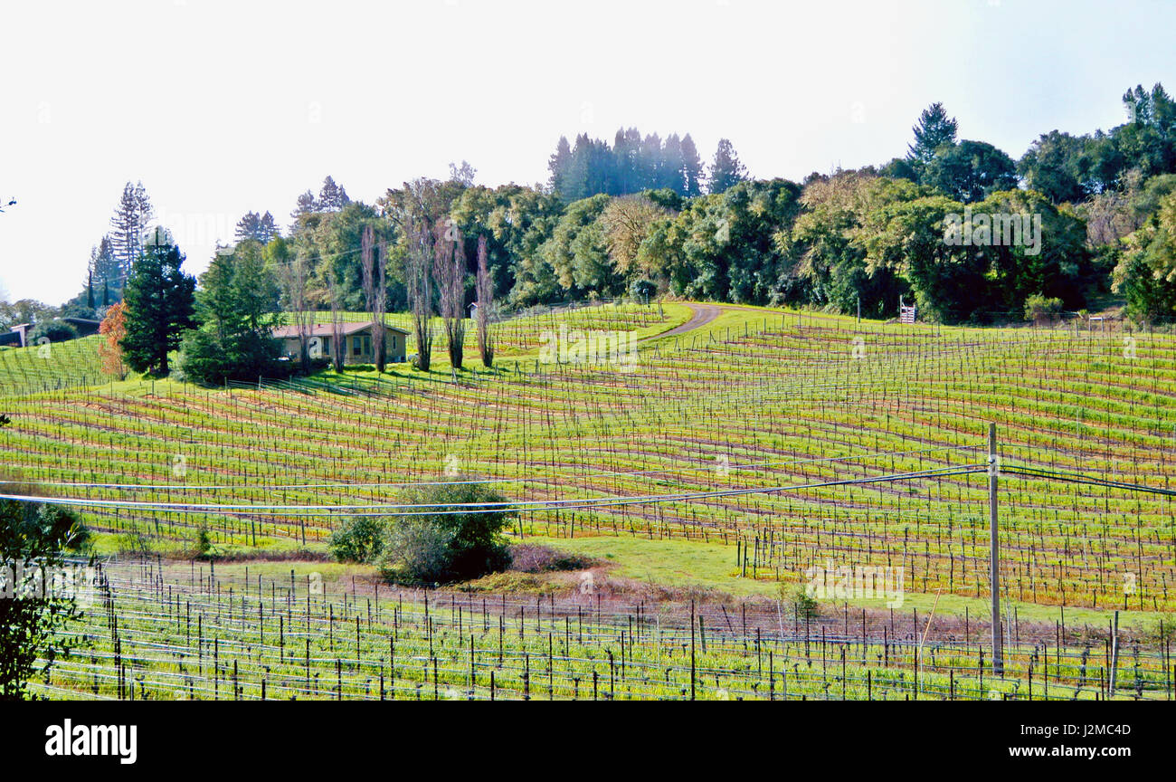 Anderson Valley High Resolution Stock Photography and Images - Alamy