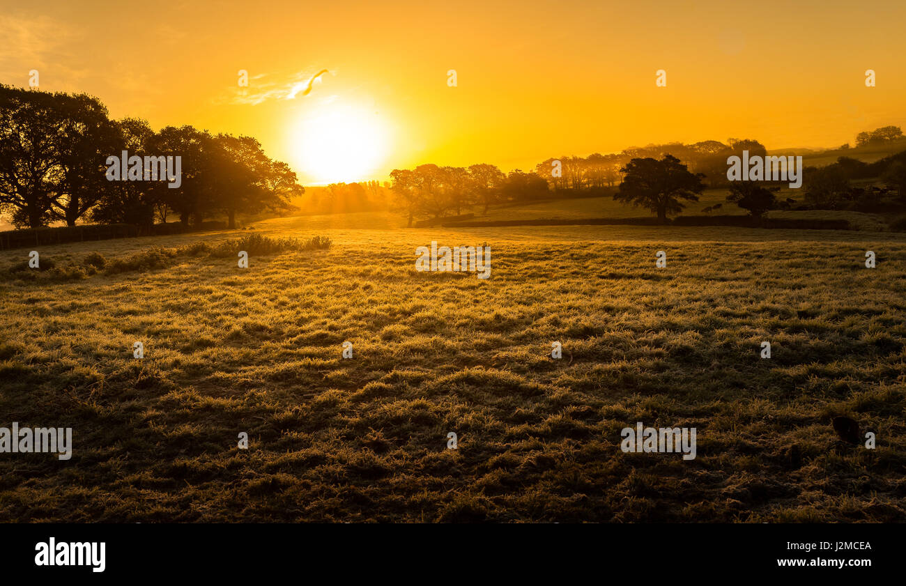 Frosty Start on a Spring Day Stock Photo - Alamy