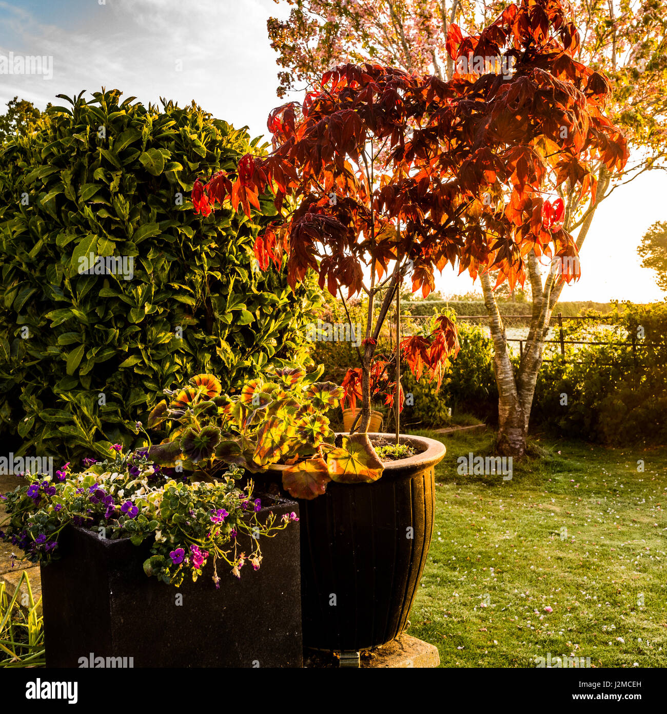 Frosty spring morning hi-res stock photography and images - Alamy