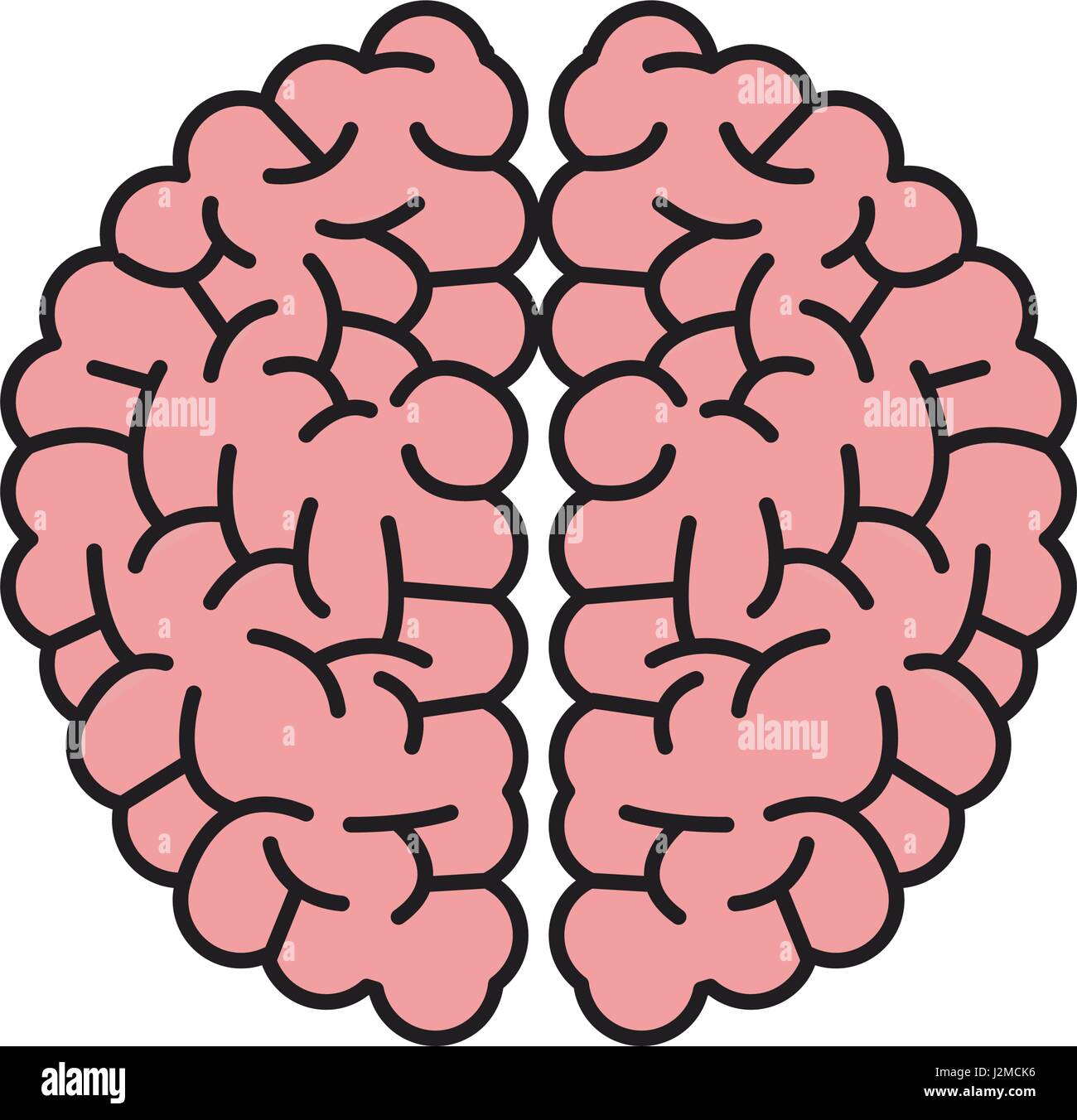 brain organ human intelligence concept Stock Vector Image & Art - Alamy