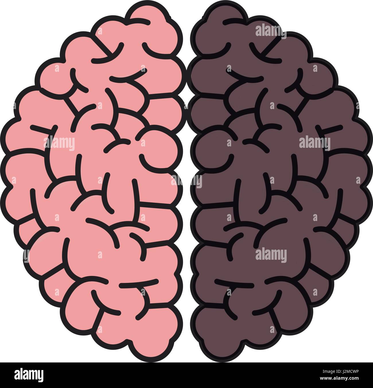 brain human hemispheres think knowledge shadow Stock Vector Image & Art ...