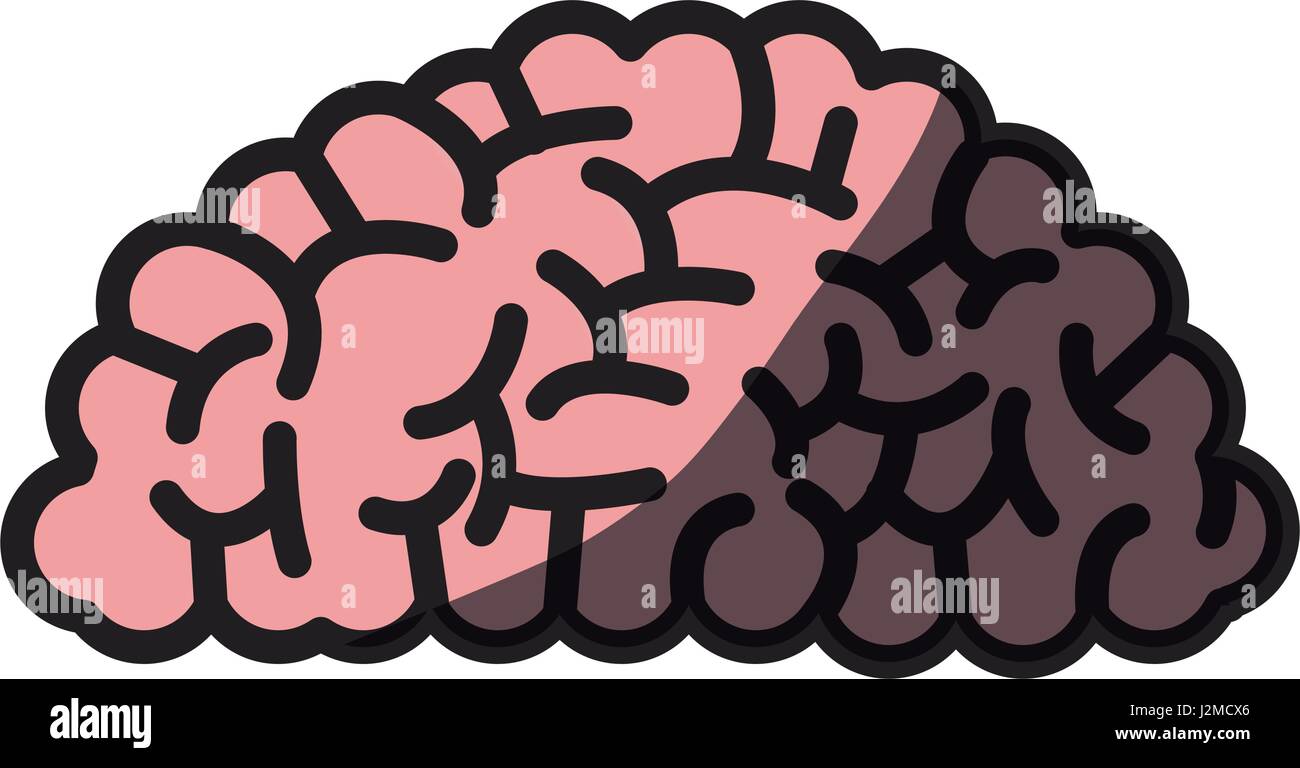 brain human organ memory shadow Stock Vector Image & Art - Alamy