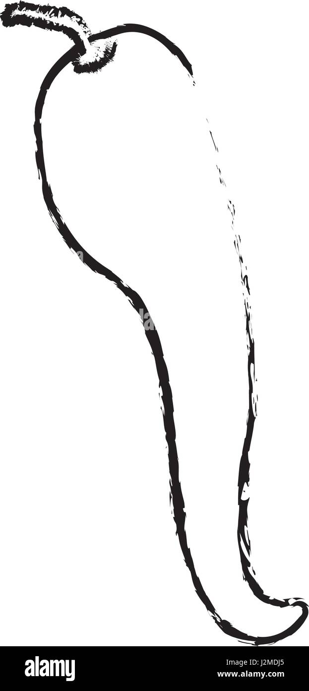 Chilli design vegetable organic Black and White Stock Photos & Images ...