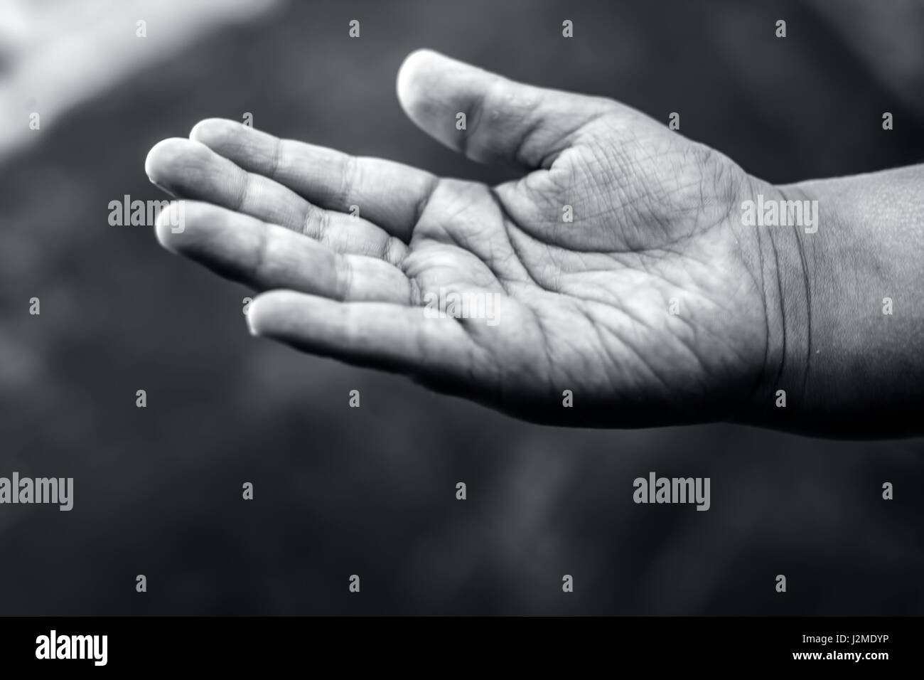 A baby boy showing his hand from a side view Stock Photo - Alamy
