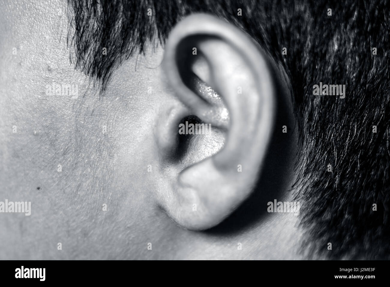 Male anatomy head neck side hi-res stock photography and images - Alamy