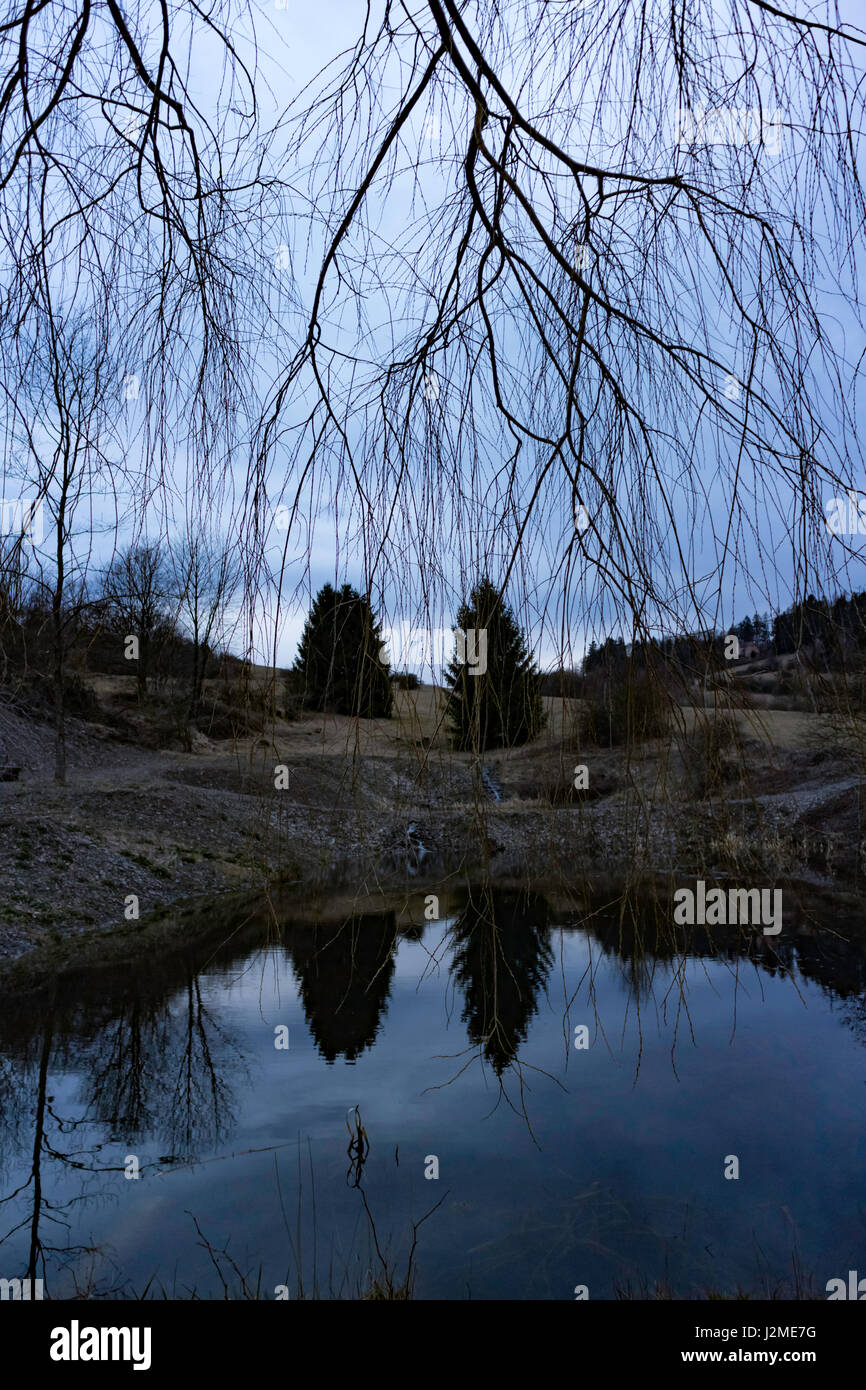 Dark pond with plants and reflections hi-res stock photography and ...