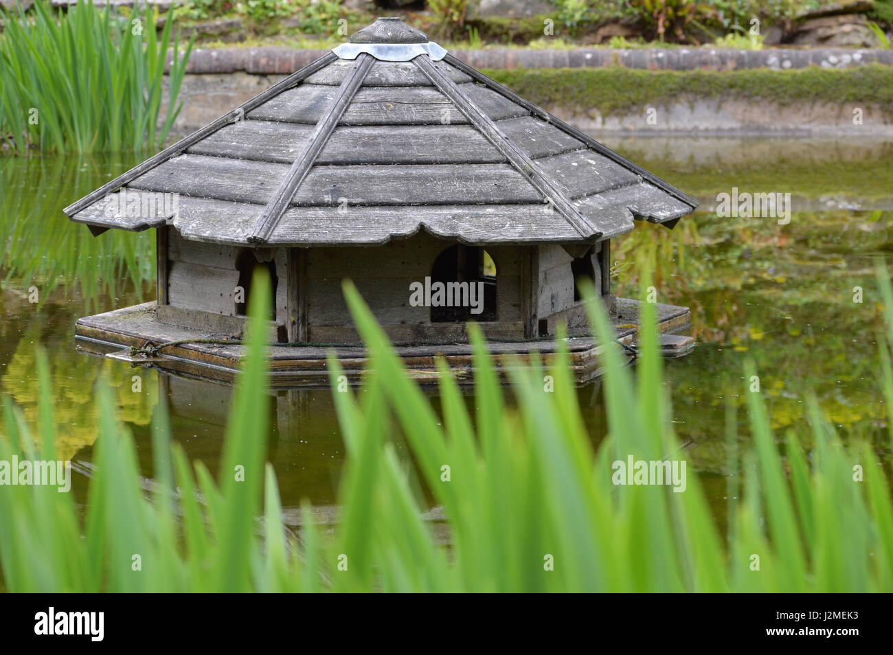 Wooden ornamental duck house on a pond Stock Photo - Alamy