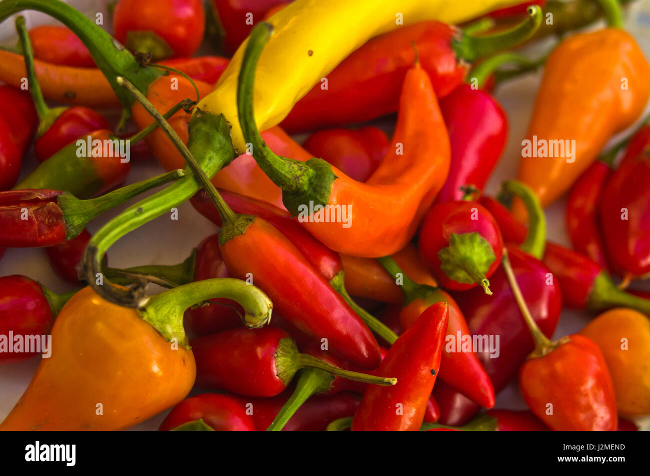 Different colors, types and flavours of a hot chili pepers made in ...