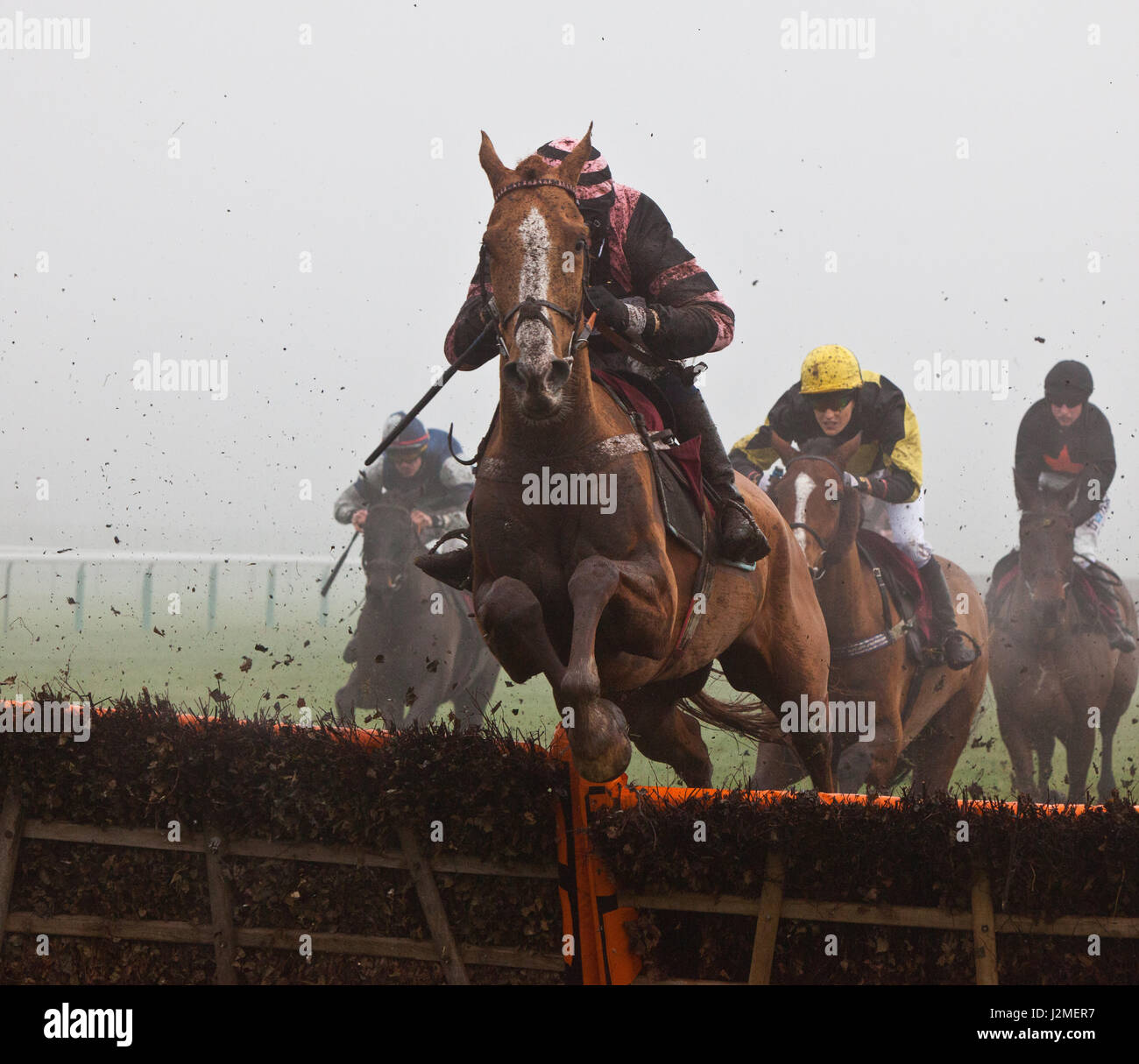 Haydock racecourse hi-res stock photography and images - Alamy