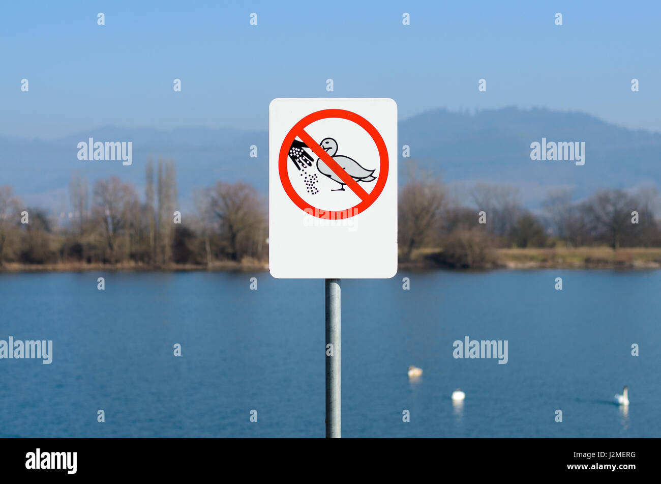 Do not feed the ducks sign near lake with wading geese and mountain in ...
