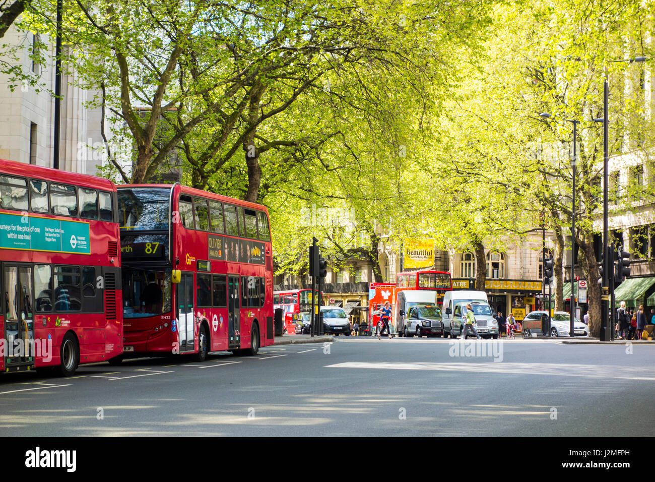 Lined trees hi-res stock photography and images - Alamy