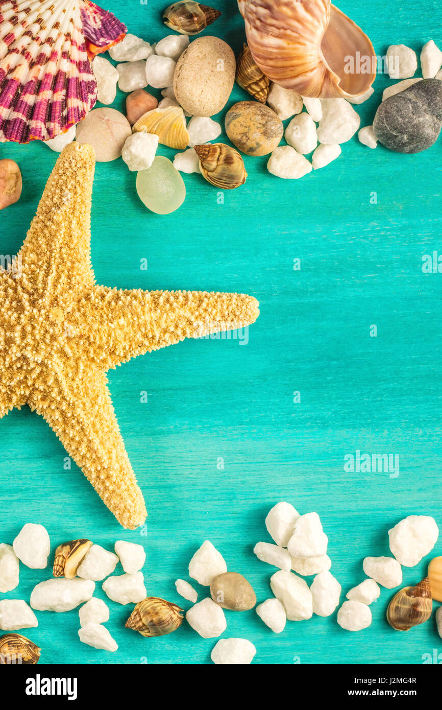 An overhead photo of a sea star, sea shells, and pebbles forming a ...