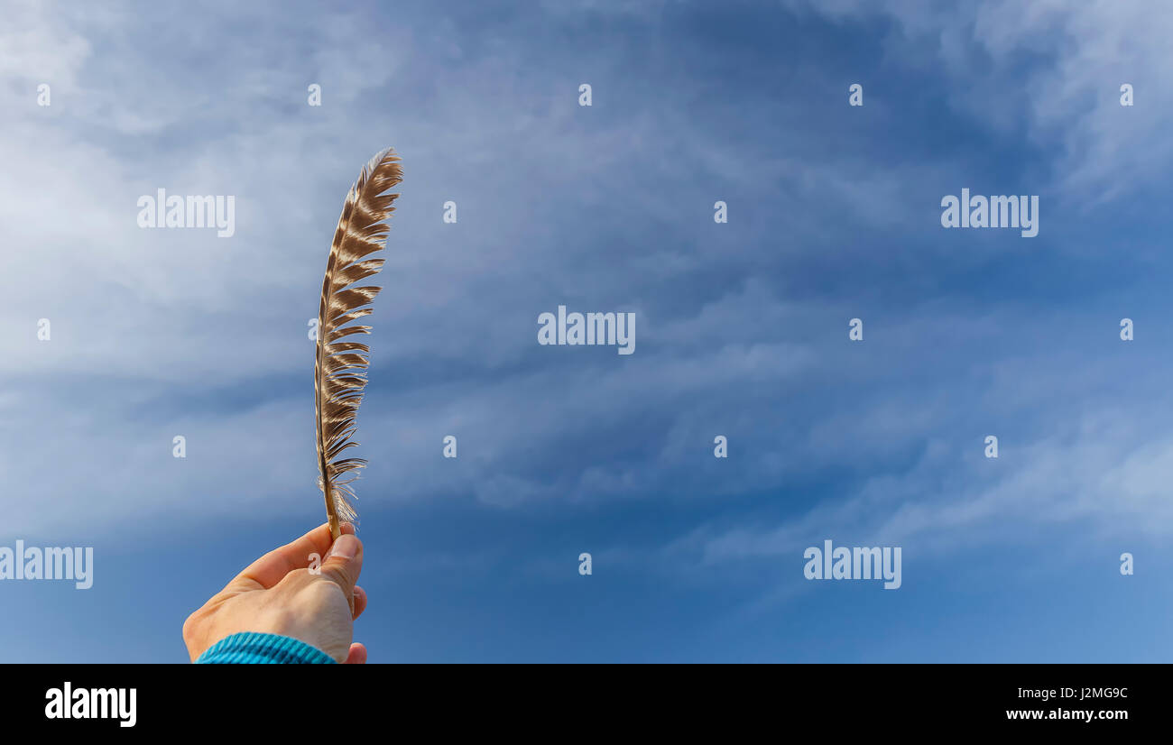 Hand holding bird feather in hand Stock Photo - Alamy