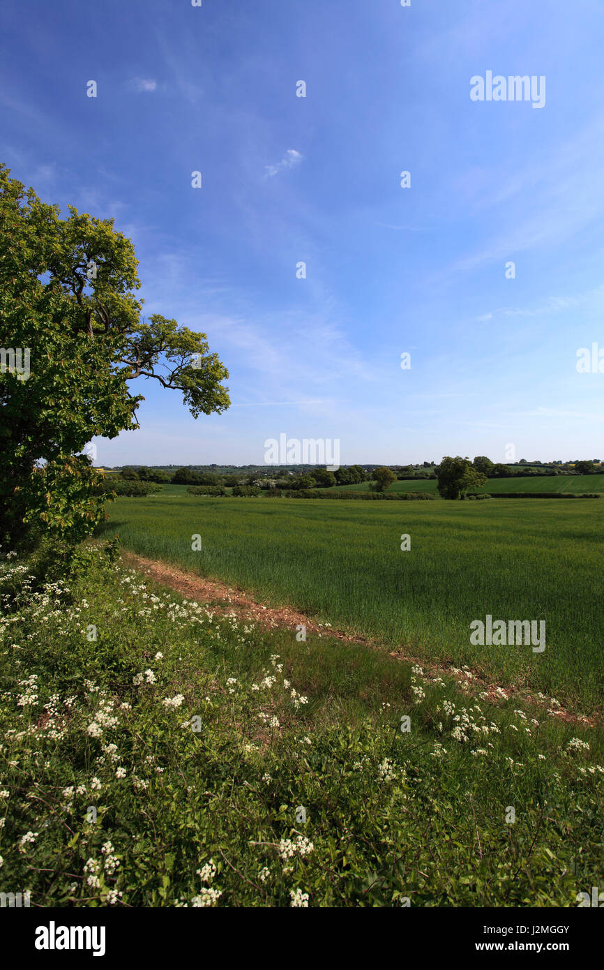 Markyate village hi-res stock photography and images - Alamy