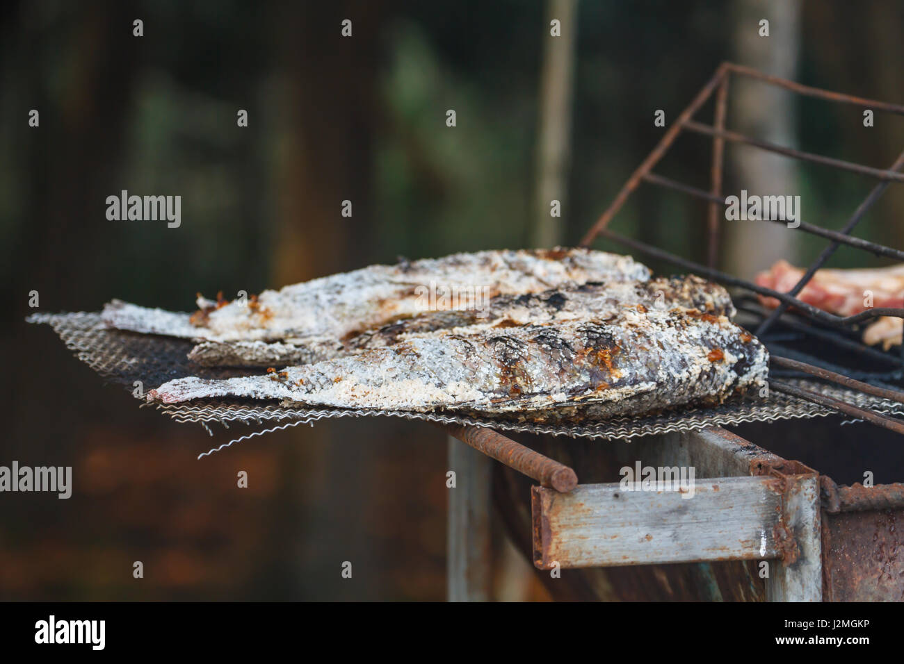 Grilling fish on framfire, cooking in garden Stock Photo - Alamy