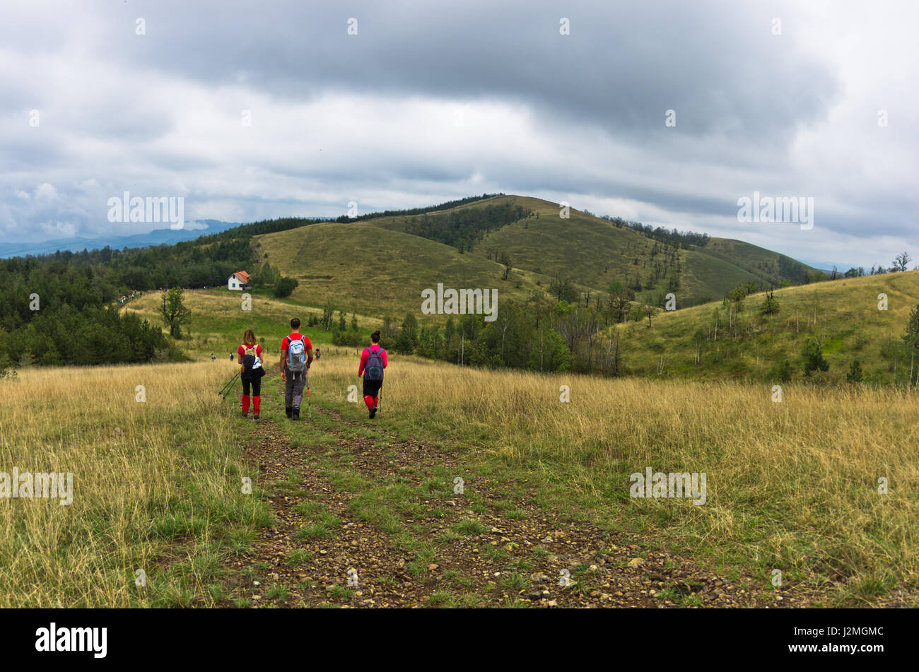 Trekking path through prairie grass at mountains and hills of central ...