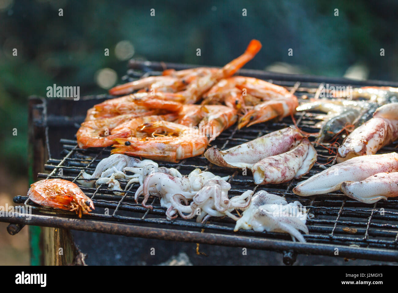 Assorted delicious grilled meat over the coals on a barbecue Stock ...