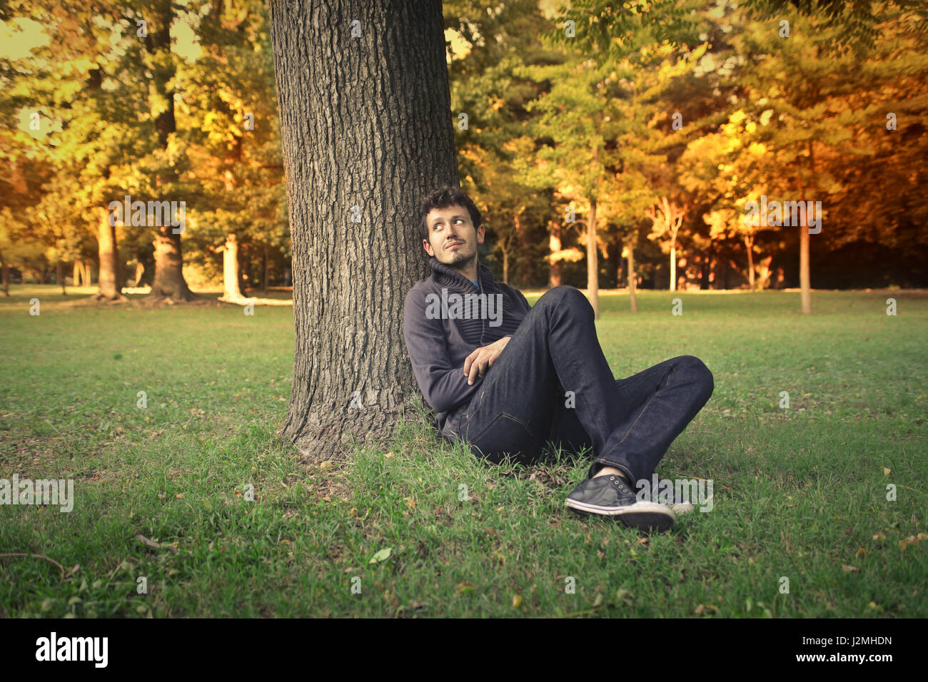 Young man sitting under tree Stock Photo - Alamy Young man sitting under tree Stock Photo - Alamy