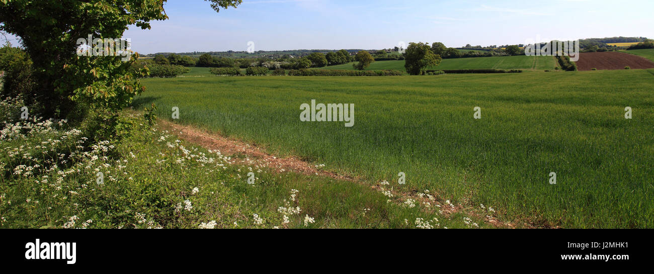 Markyate hi-res stock photography and images - Alamy