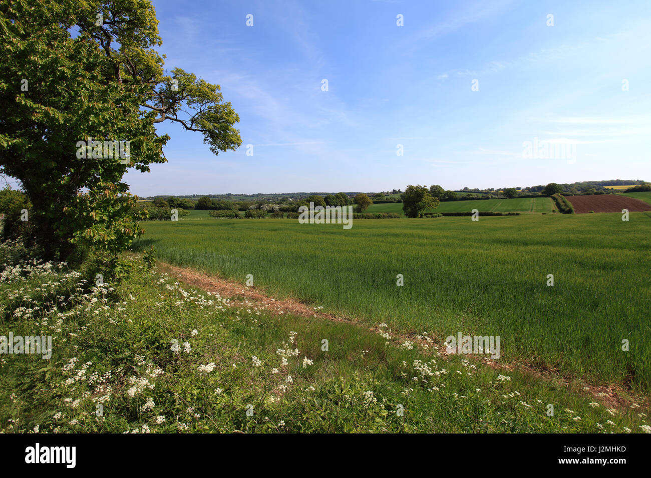 Chiltern hills hertfordshire hi-res stock photography and images - Alamy