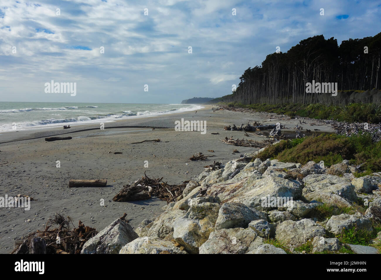 Panoramic view, coast of New Zealand Stock Photo - Alamy