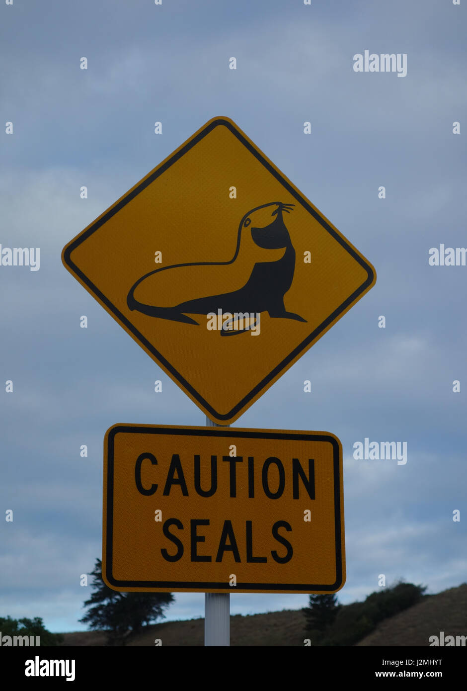 Safety seals hi-res stock photography and images - Alamy