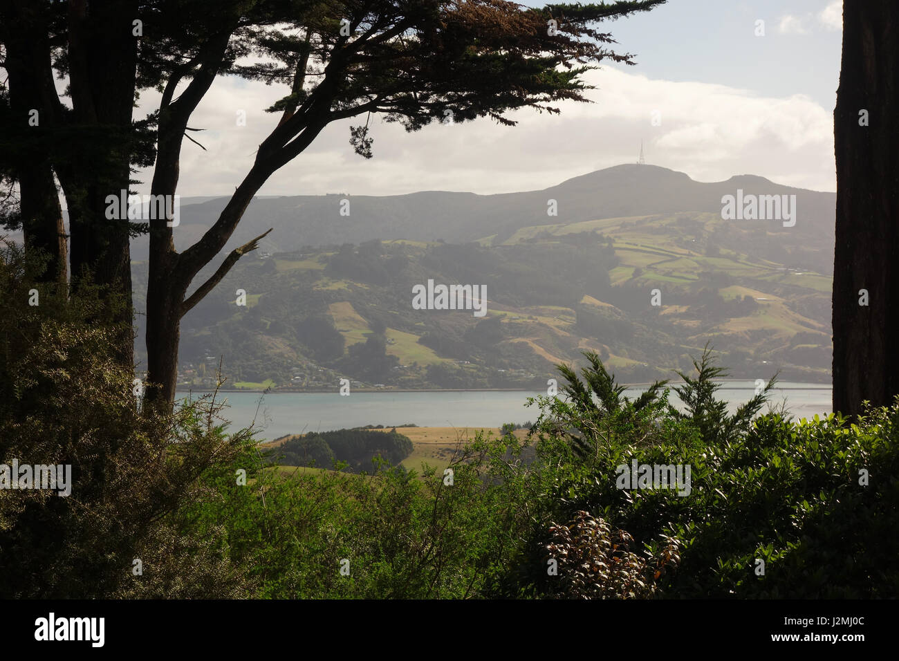 Panoramic view, Pacific coast of New Zealand, Otago Peninsula, Dunedin ...