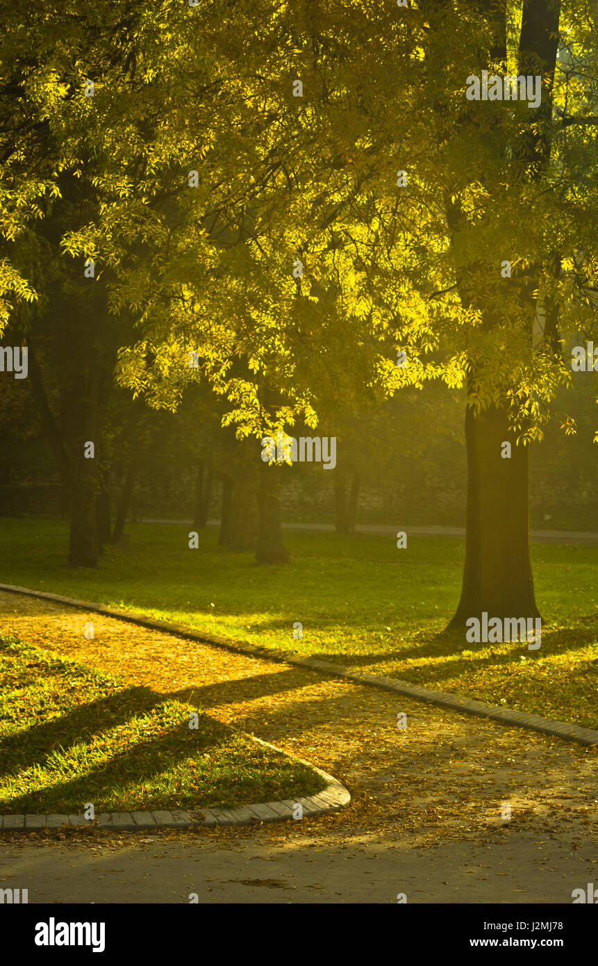 Yellow autumn Sunrise in Topcider park, Belgrade, Serbia Stock Photo ...