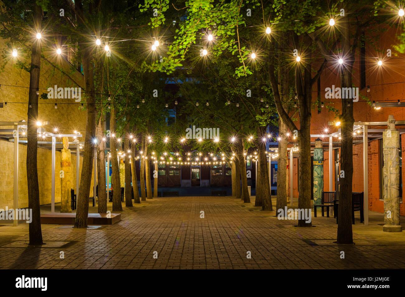 String lights at Century Plaza at night, in downtown Roanoke, Virginia ...
