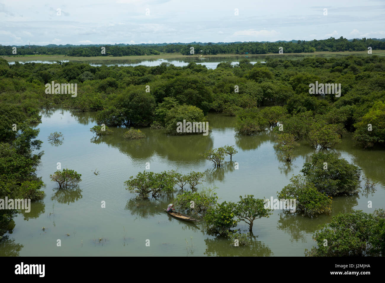 Aerial view of the Ratargul fresh water swamp forest. It is a very ...