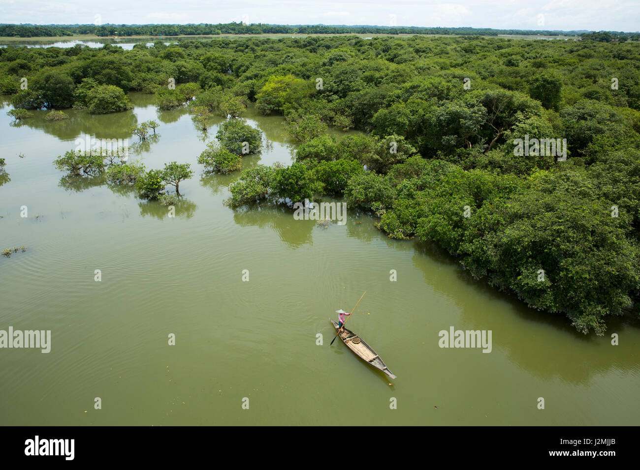 Aerial view of the Ratargul fresh water swamp forest. It is a very ...